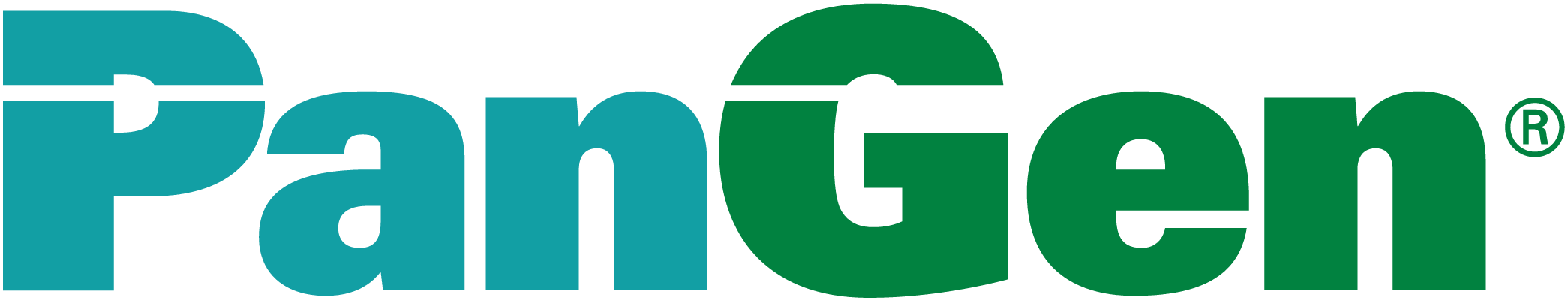 About Us - PanGen Solutions